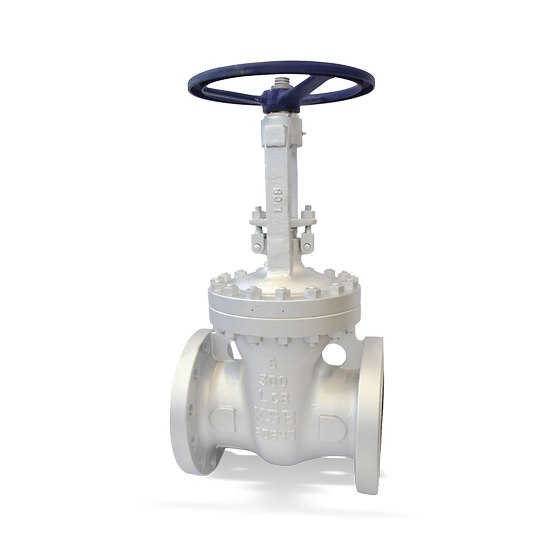 Vanne guillotine KSB ECOLINE GTC 150-600 - Vannes guillotine - ASFluid